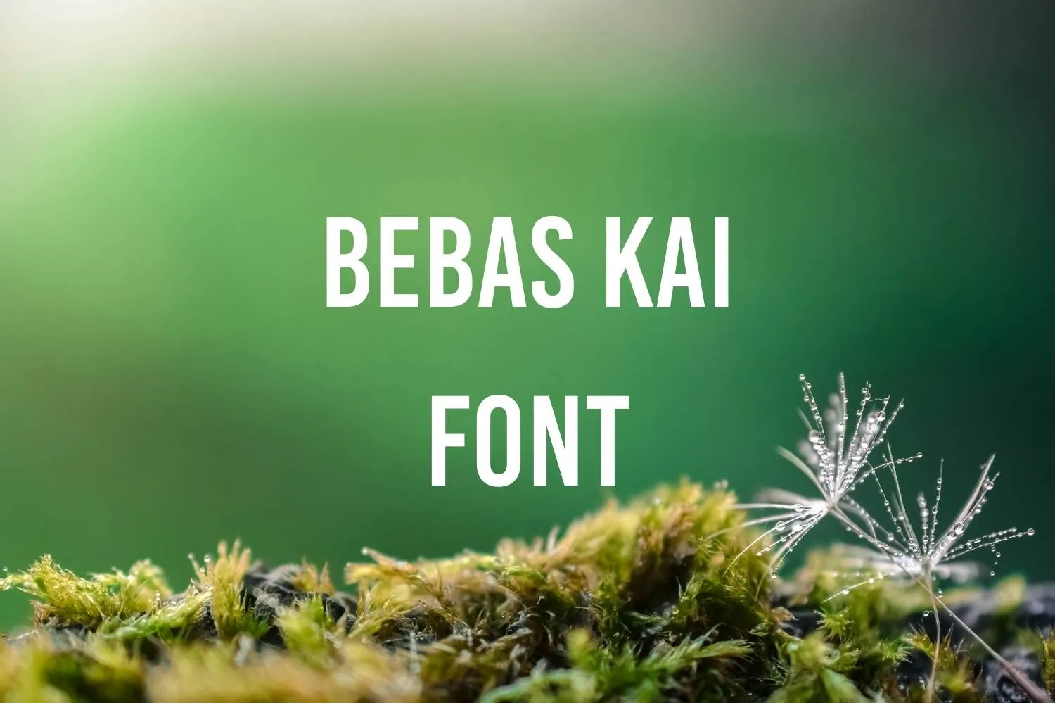 Bebas Kai Font Free Download