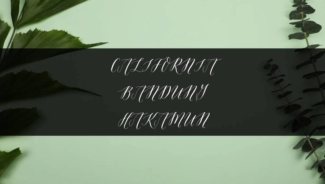 Asterism Font Free Download