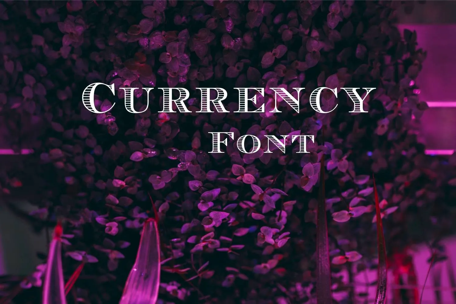 Currency Font Free Download
