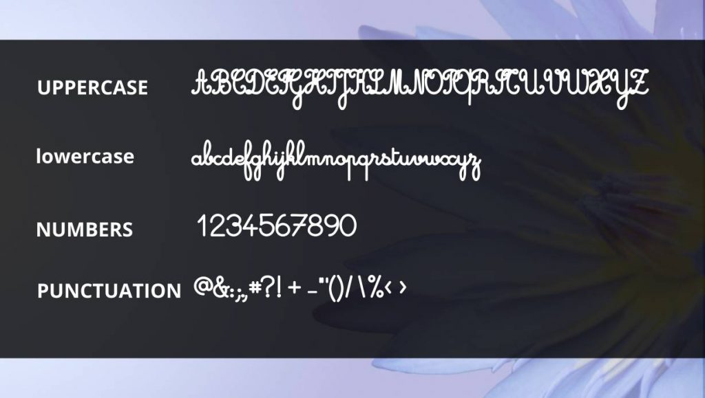 Cursive Font Free Download