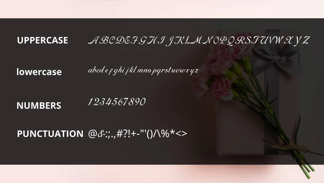 Roundhand Font Free Download