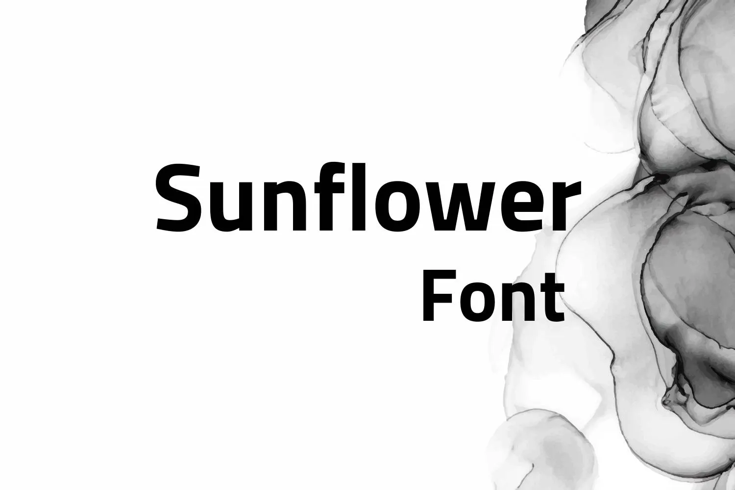 Sunflower Font Free Download