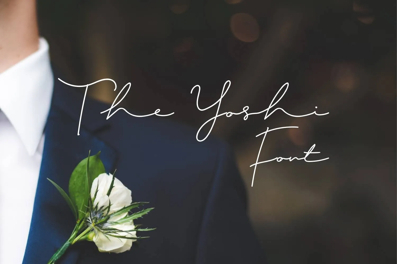 The Yoshi Font Free Download