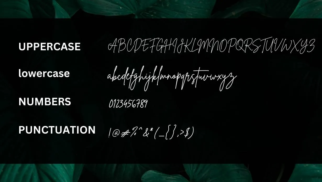 Brittany Signature Font Free Download