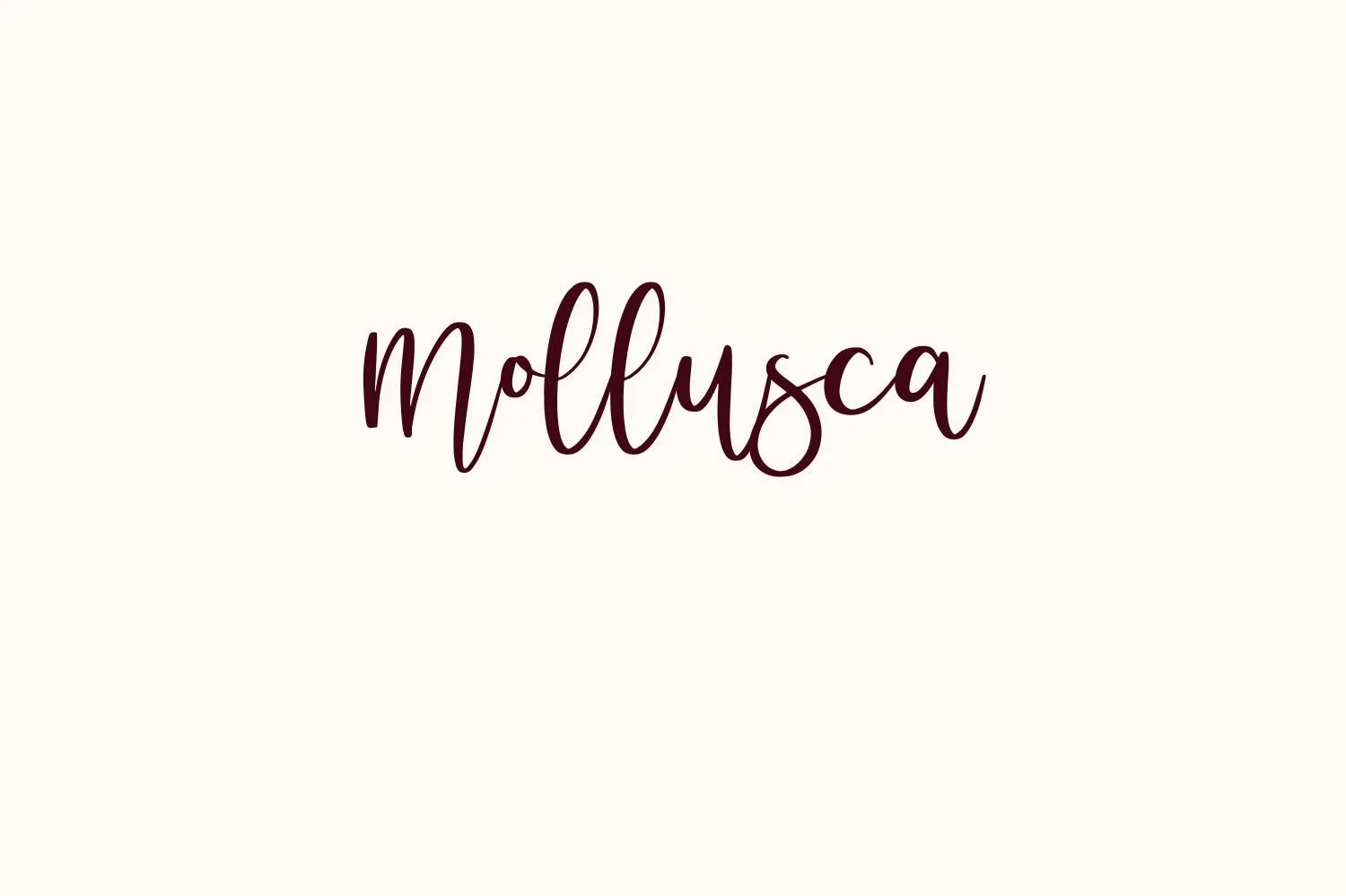 Mollusca Font Free Download
