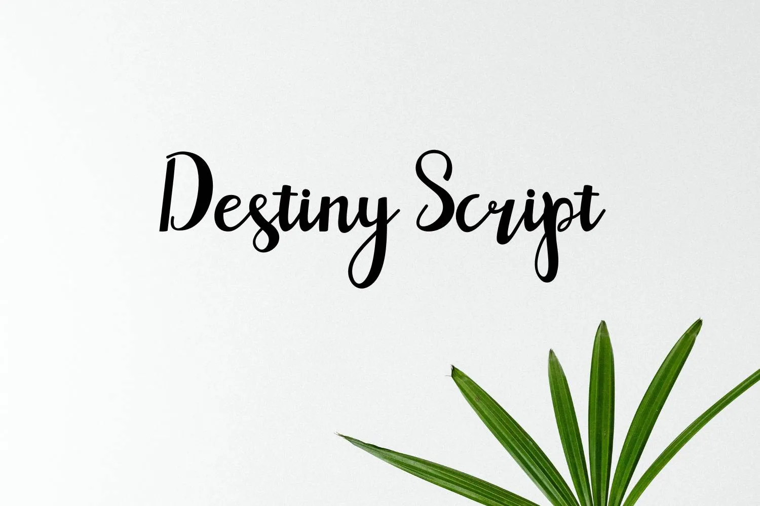 Destiny Script Font Free Download