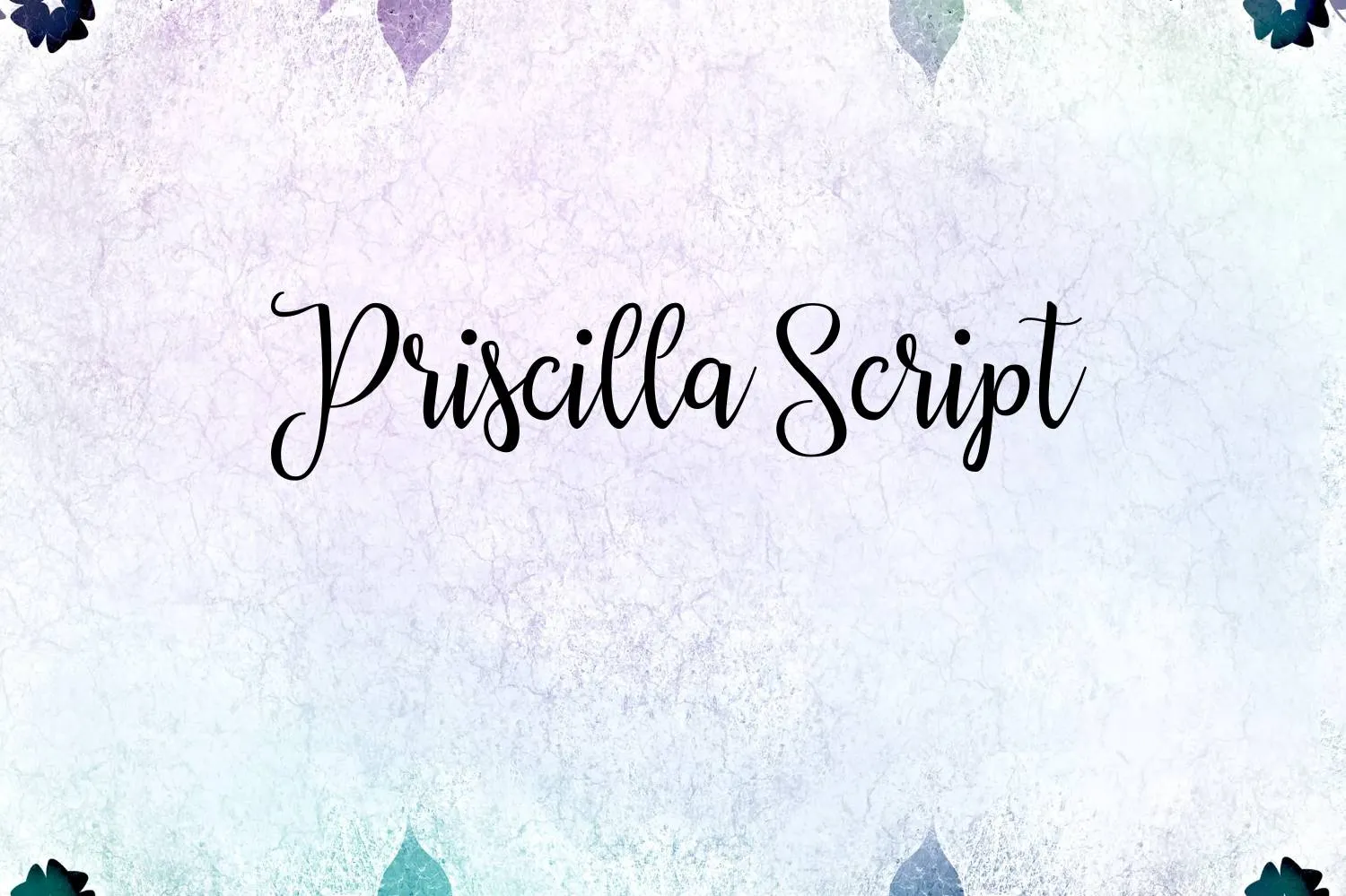 Priscilla Script Font Free Download