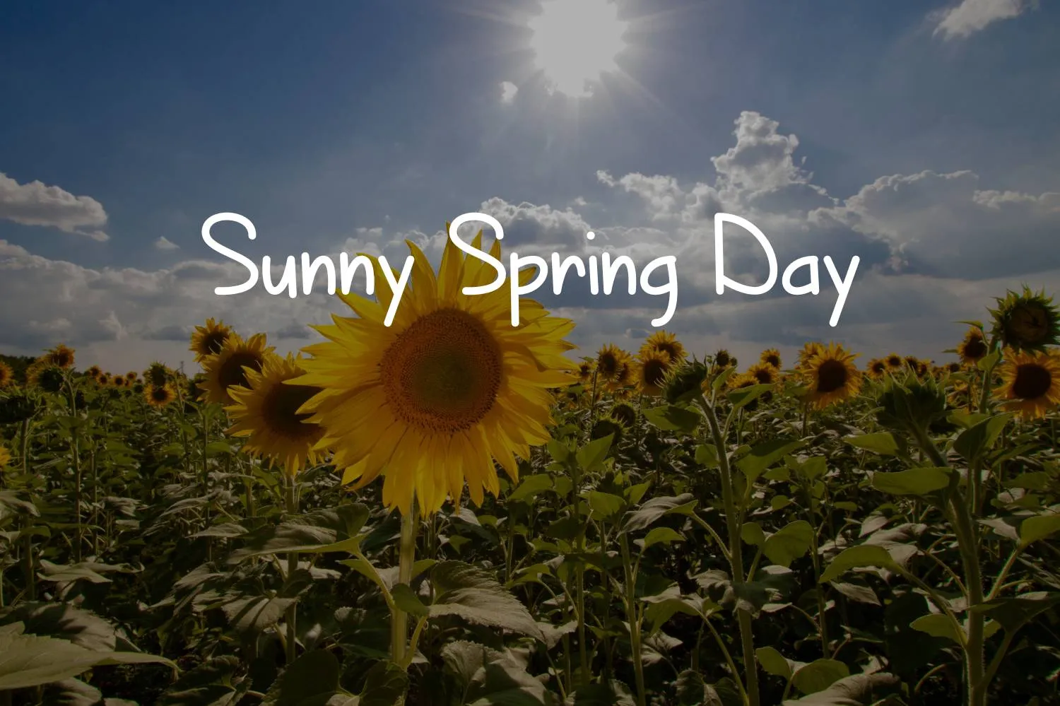 Sunny Spring Day Font Free Font Download
