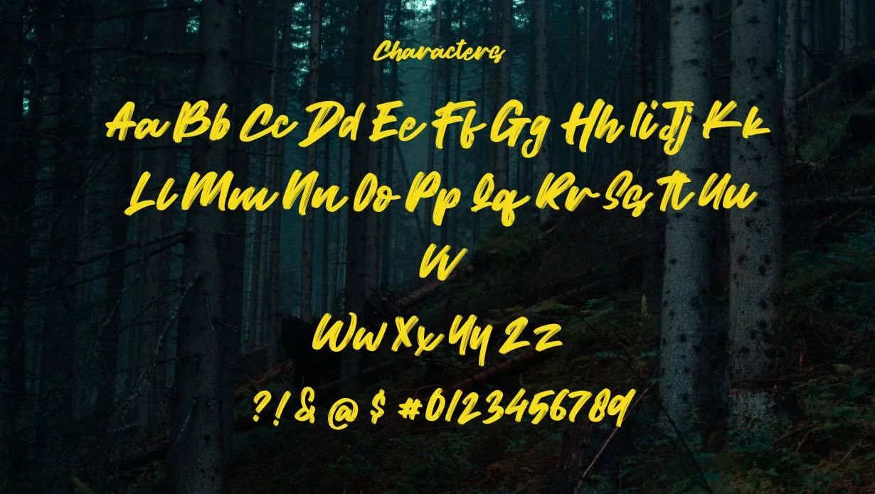 Wild Youth Font Free Download